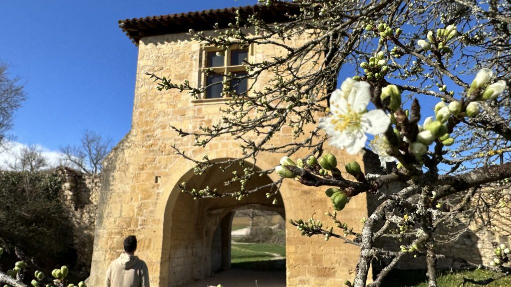 Expériences, visites incontournables Comminges-Pyrénées | ÔPyrénées